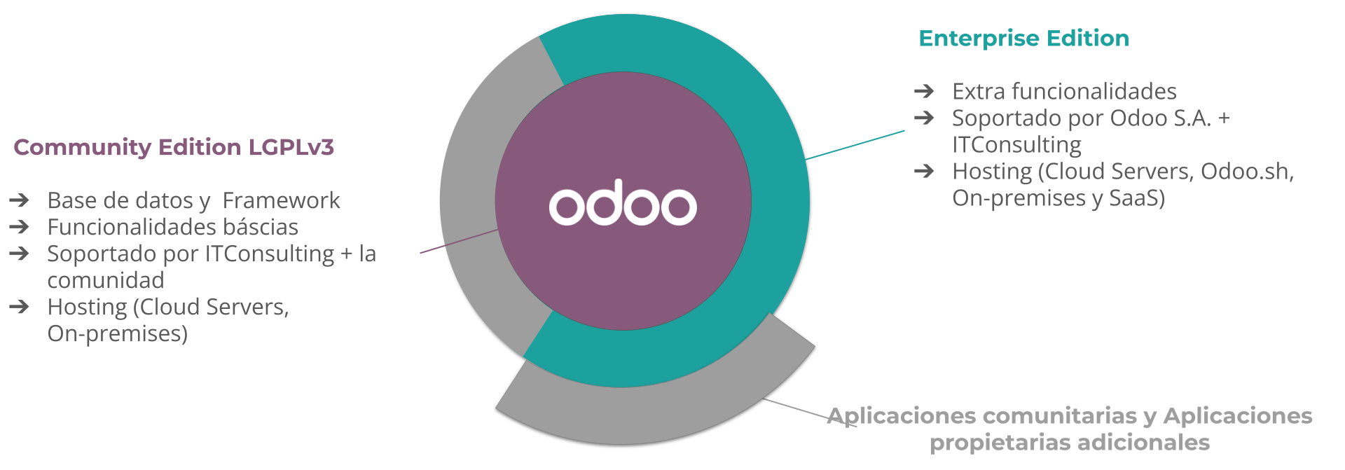 Cuánto vale implementar Odoo (Pricing) | ITConsulting Global